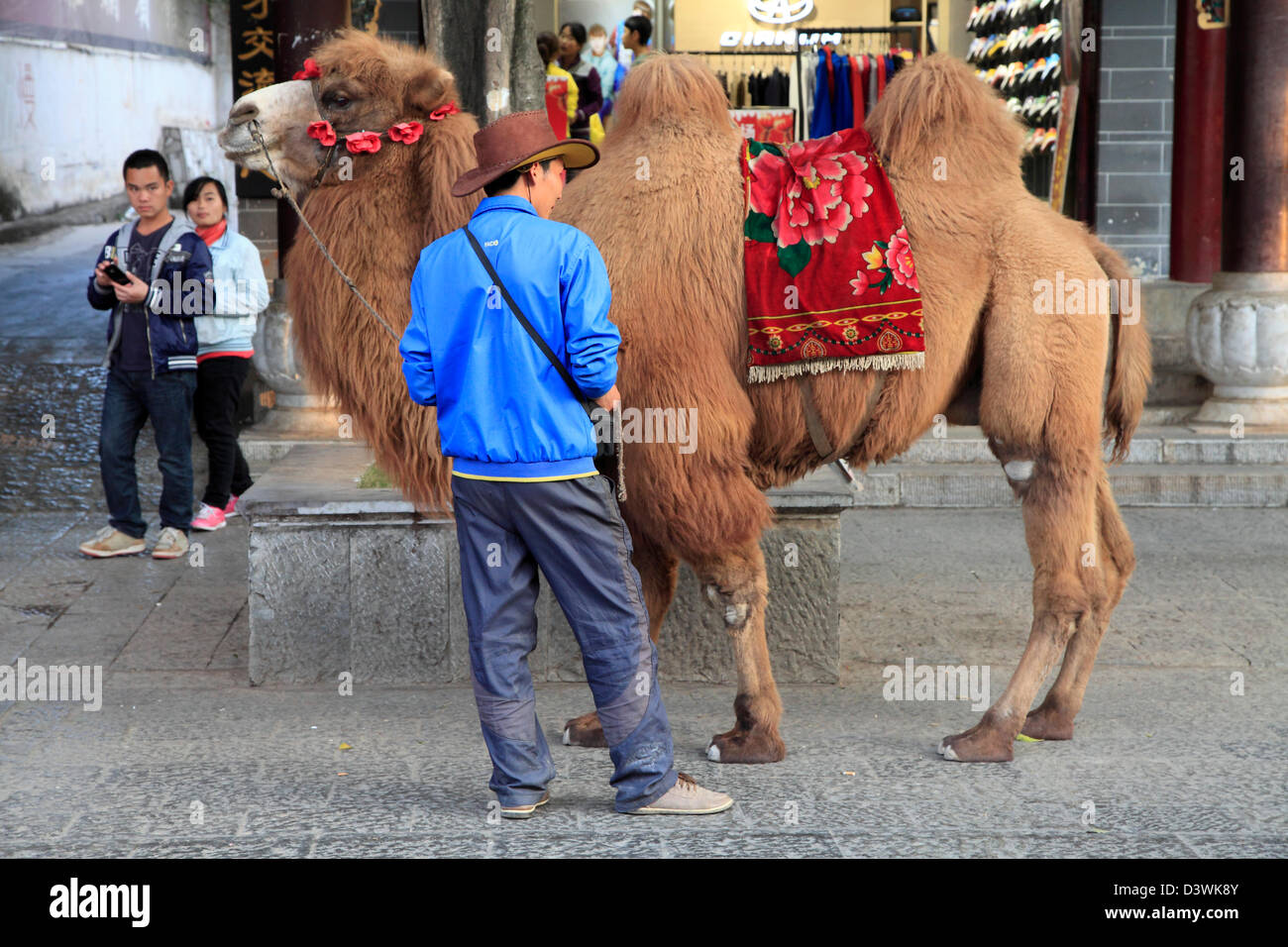 China, Yunnan, Jianshui, camel, people, street scene Stock Photo - Alamy
