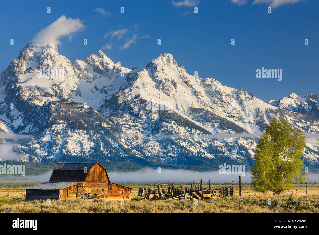 Mormon Row is a line of homestead complexes along the Jackson-Moran ...
