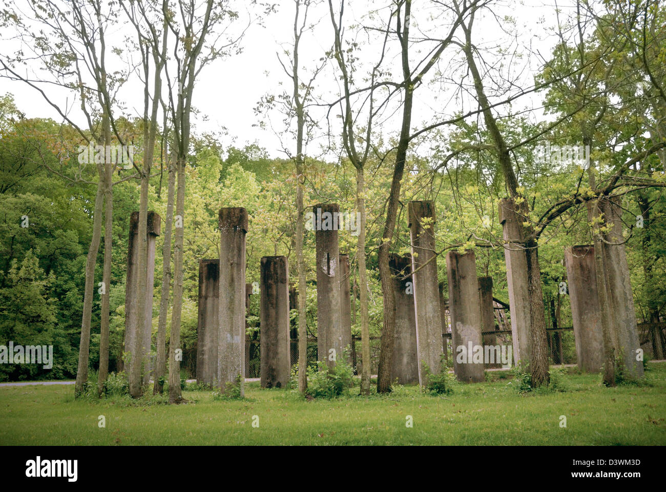 Trees growing up around the ruins of an old footbridge Stock Photo - Alamy