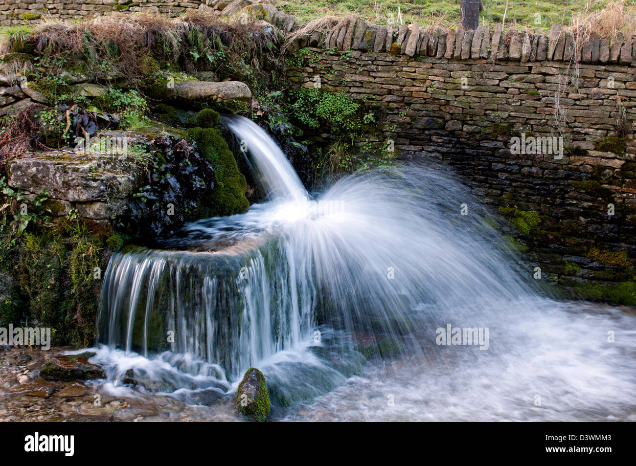 The crocodile spring conduit, Compton Abdale, Gloucestershire, England ...