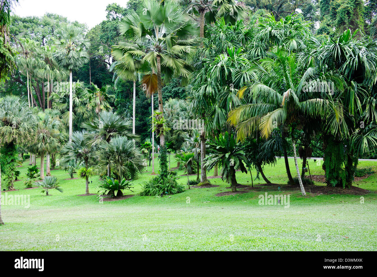 Singapore Botanical Garden1 degree Nth of the equator has 10,000 ...