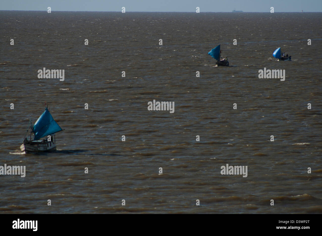 Amazon river brazil fishing hi-res stock photography and images - Alamy
