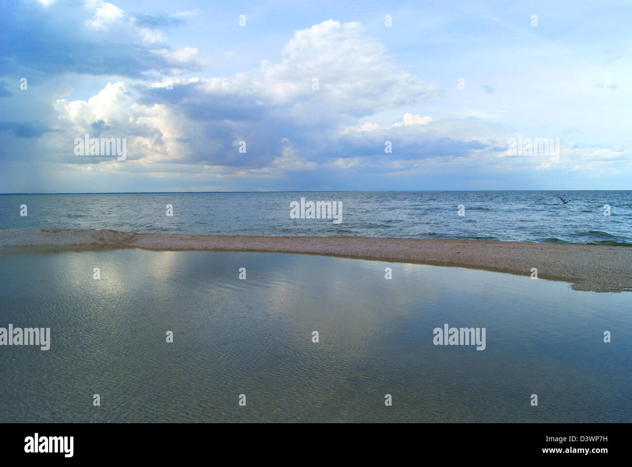 Sea before storm Stock Photo - Alamy