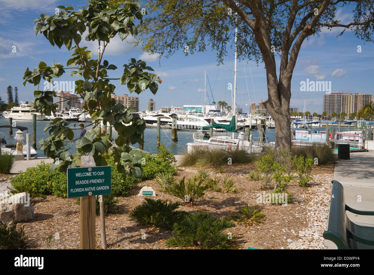 Sarasota florida garden hi-res stock photography and images - Alamy