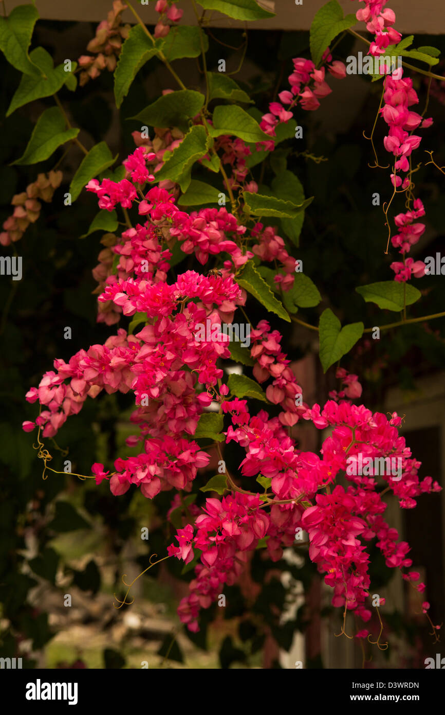 Telegraph store hi-res stock photography and images - Alamy