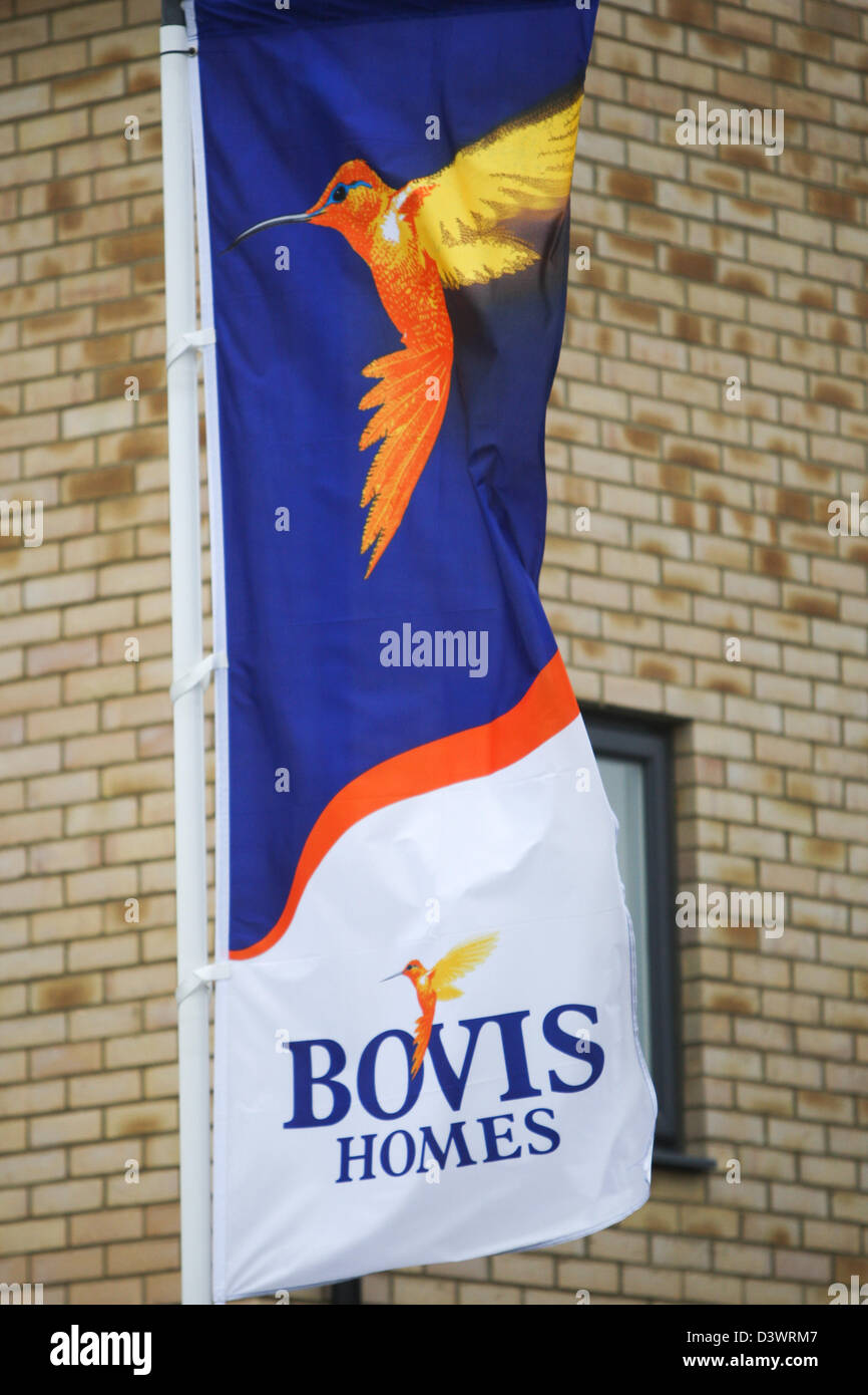 Bovis Logo