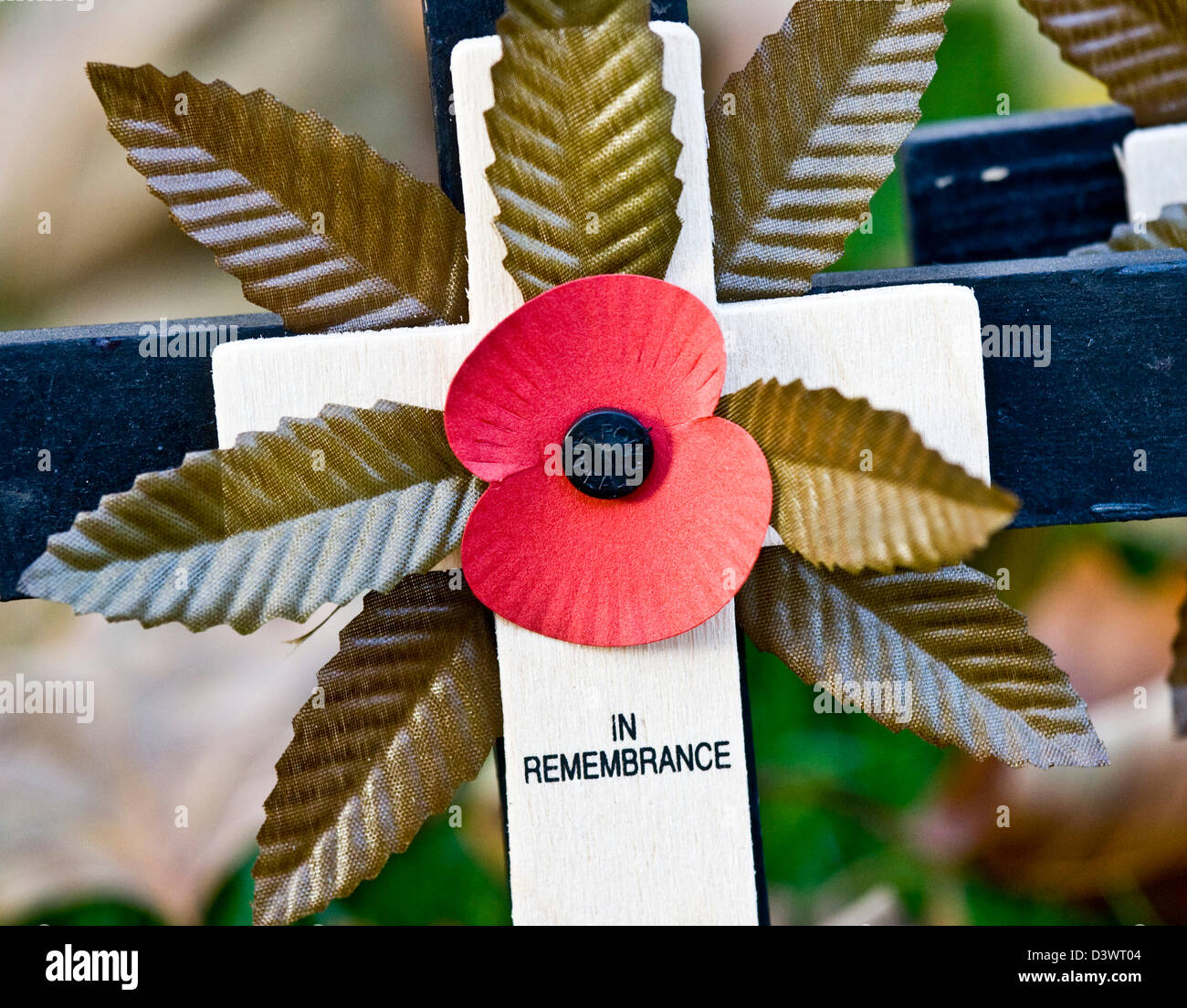 Simple wooden remembrance armistice day cross and red poppy Stock Photo ...