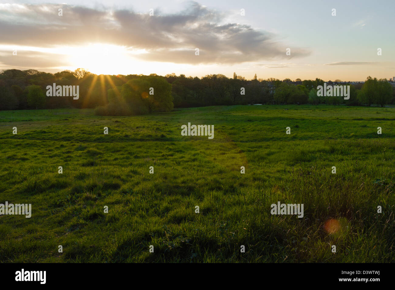 Daybreak over Parliament Hill, London Stock Photo - Alamy