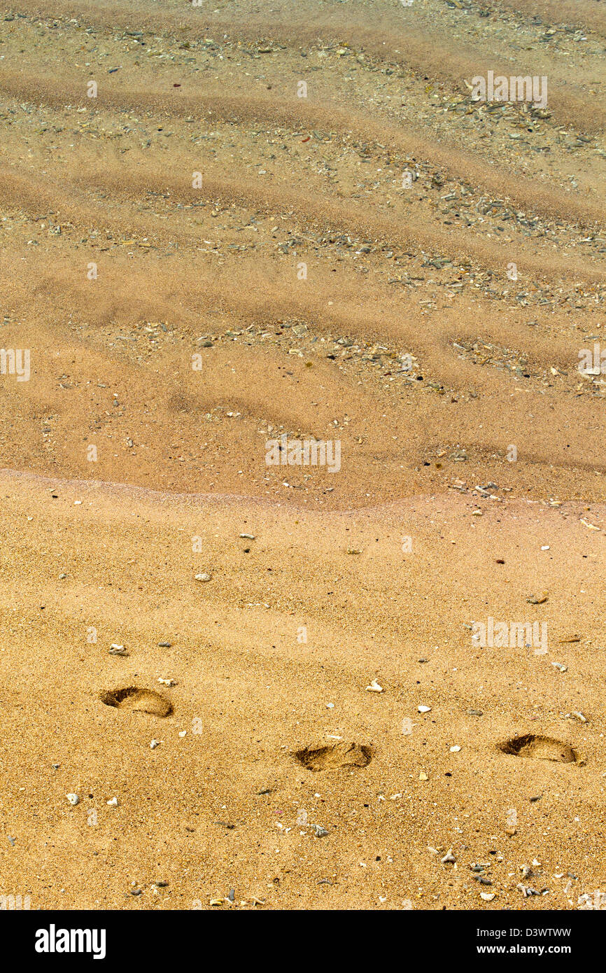 CORAL SAND AND THREE FOOTPRINTS ON A TROPICAL BEACH Stock Photo - Alamy