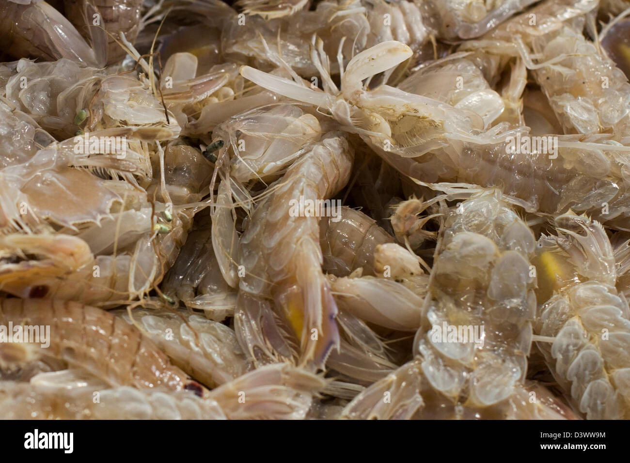 Edible fishes on a market hi-res stock photography and images - Alamy