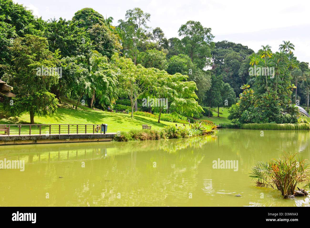 Singapore Botanical Garden1 degree Nth of the equator has 10,000 ...