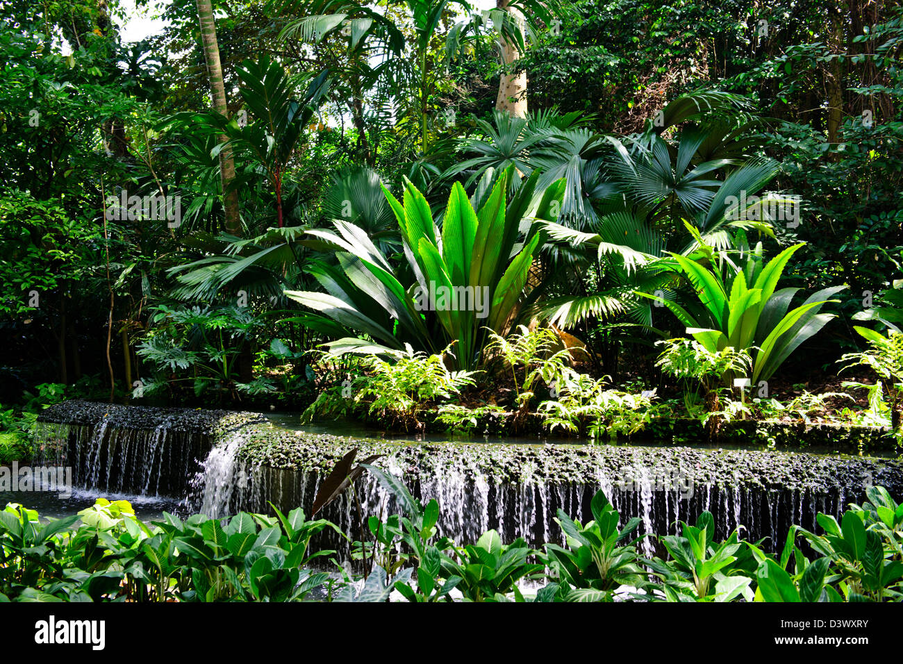 Singapore Botanical Garden1 degree Nth of the equator has 10,000 ...
