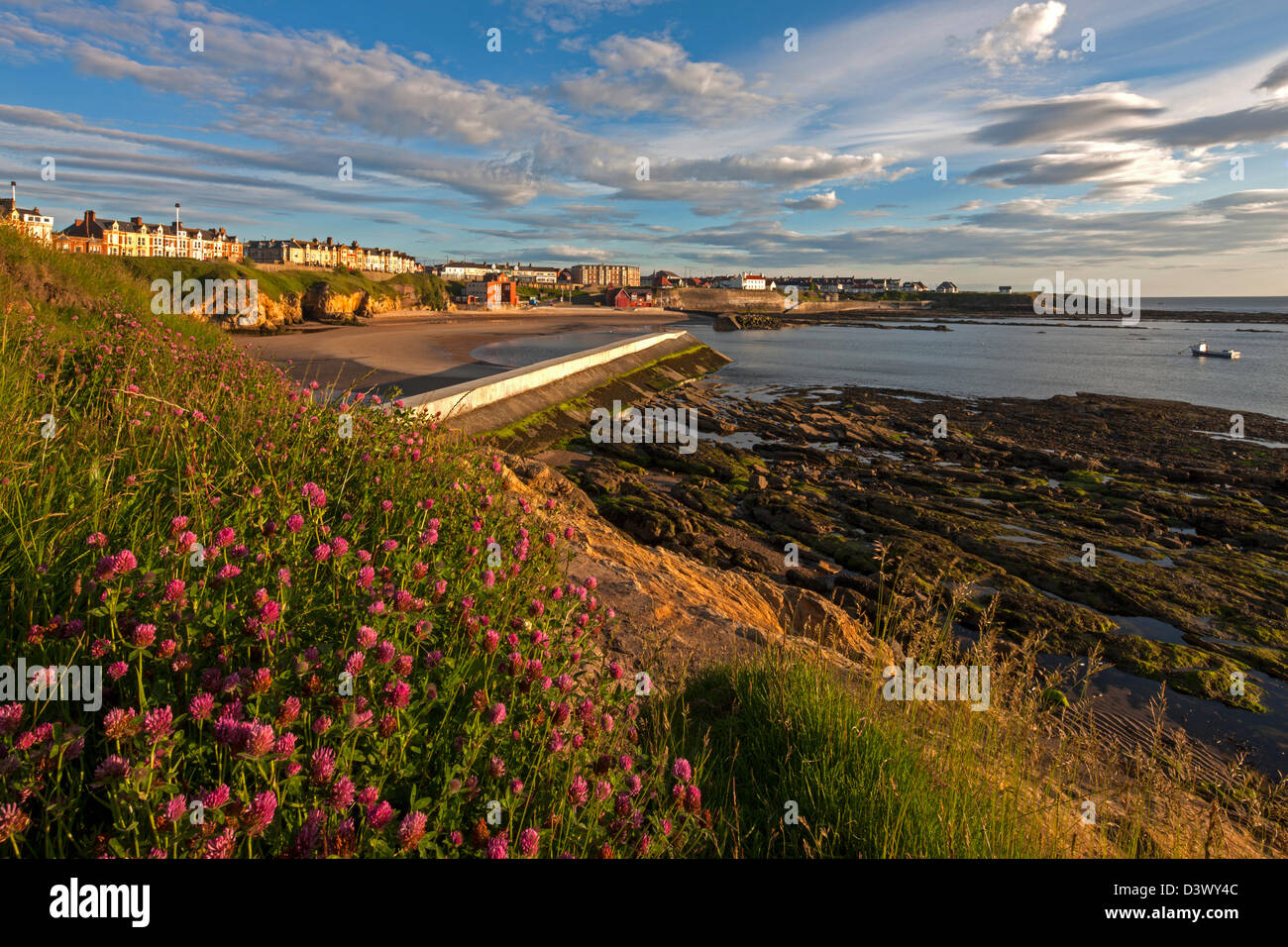 Cullercoats lifeboat station hi-res stock photography and images - Alamy
