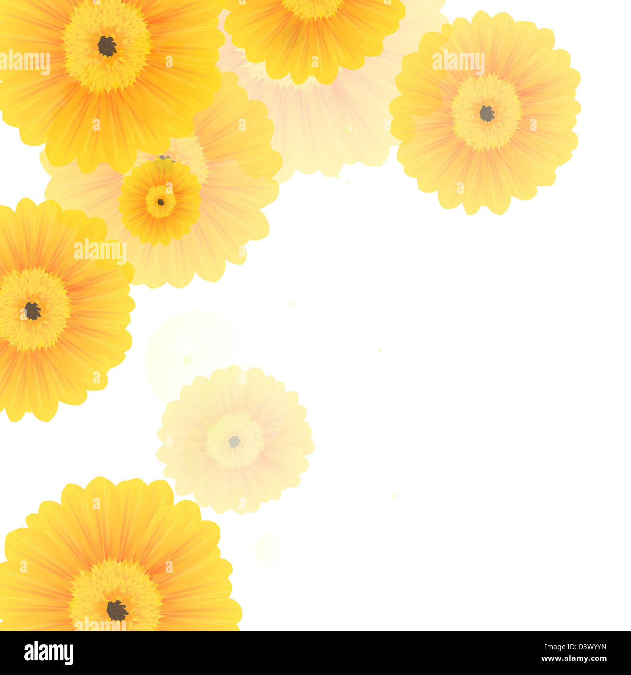 Vector Spring Flowers Stock Photo - Alamy