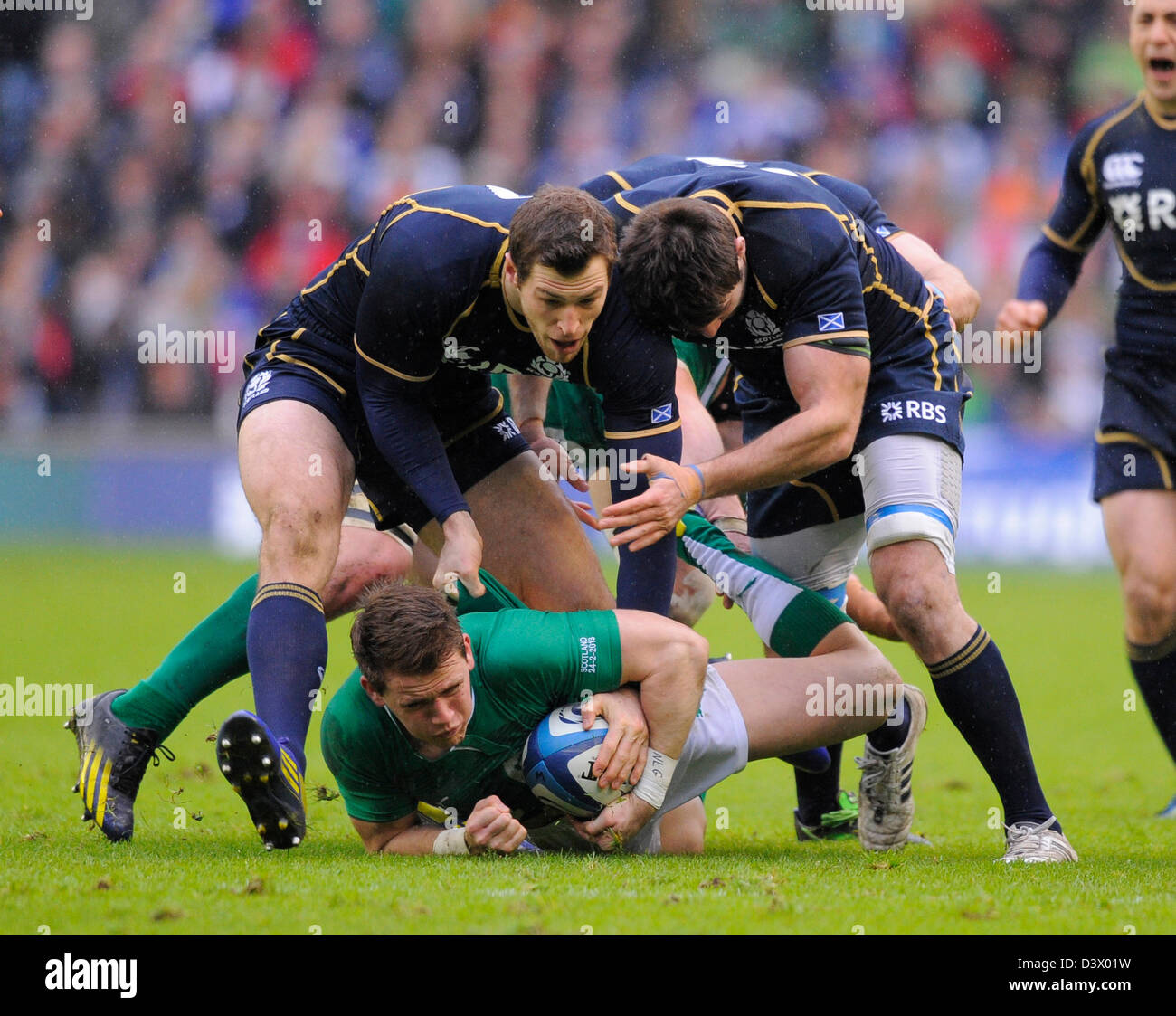 Craig Gilroy High Resolution Stock Photography and Images - Alamy