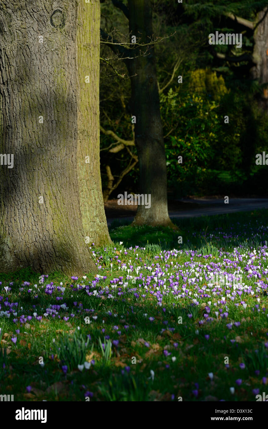 Underplant hi-res stock photography and images - Alamy
