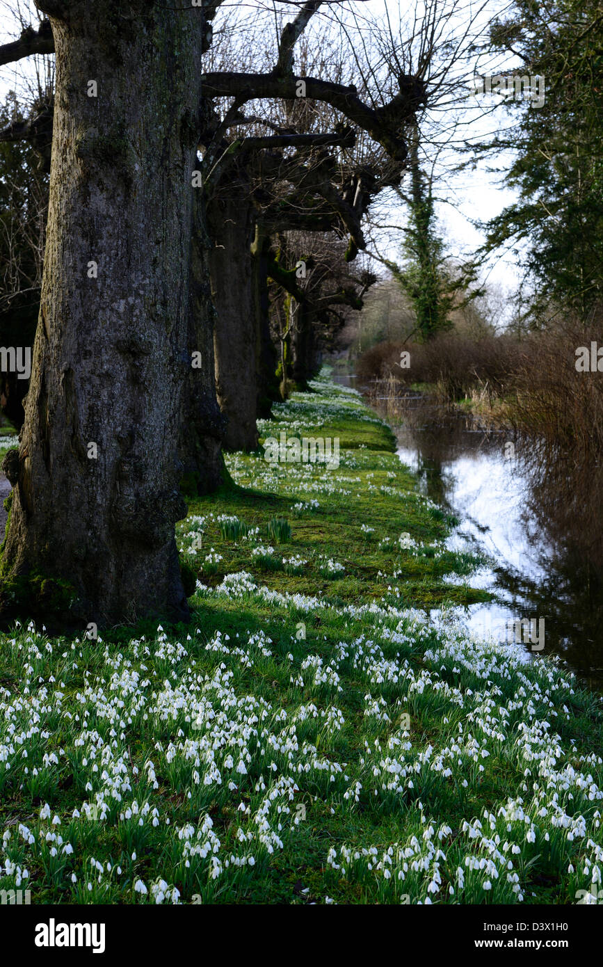 Armagh ireland hi-res stock photography and images - Alamy