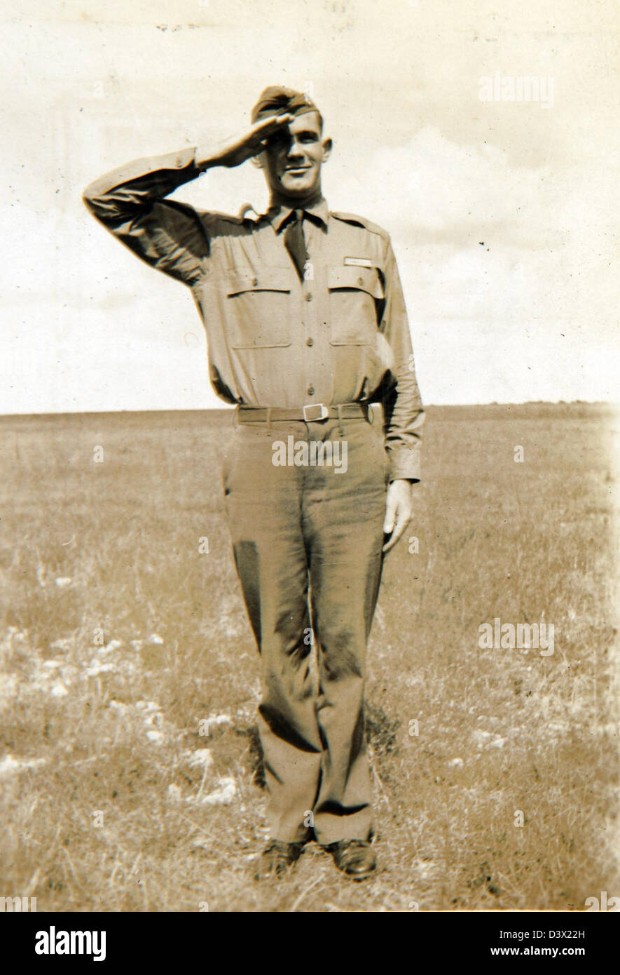 Elwyn hi-res stock photography and images - Alamy