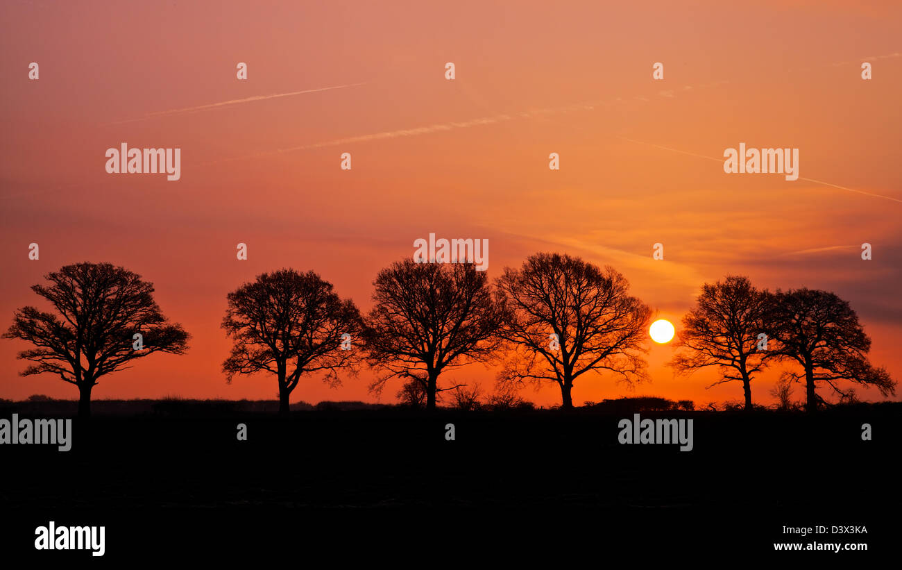 Backlit countryside landscape sunrise hi-res stock photography and ...