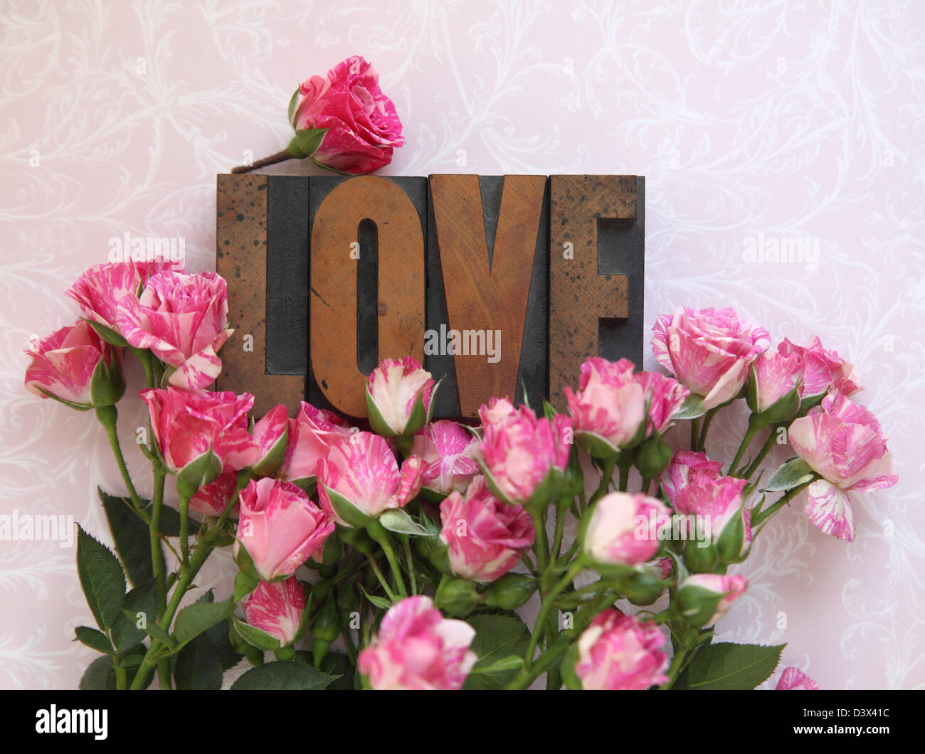 Miniature roses hi-res stock photography and images - Alamy