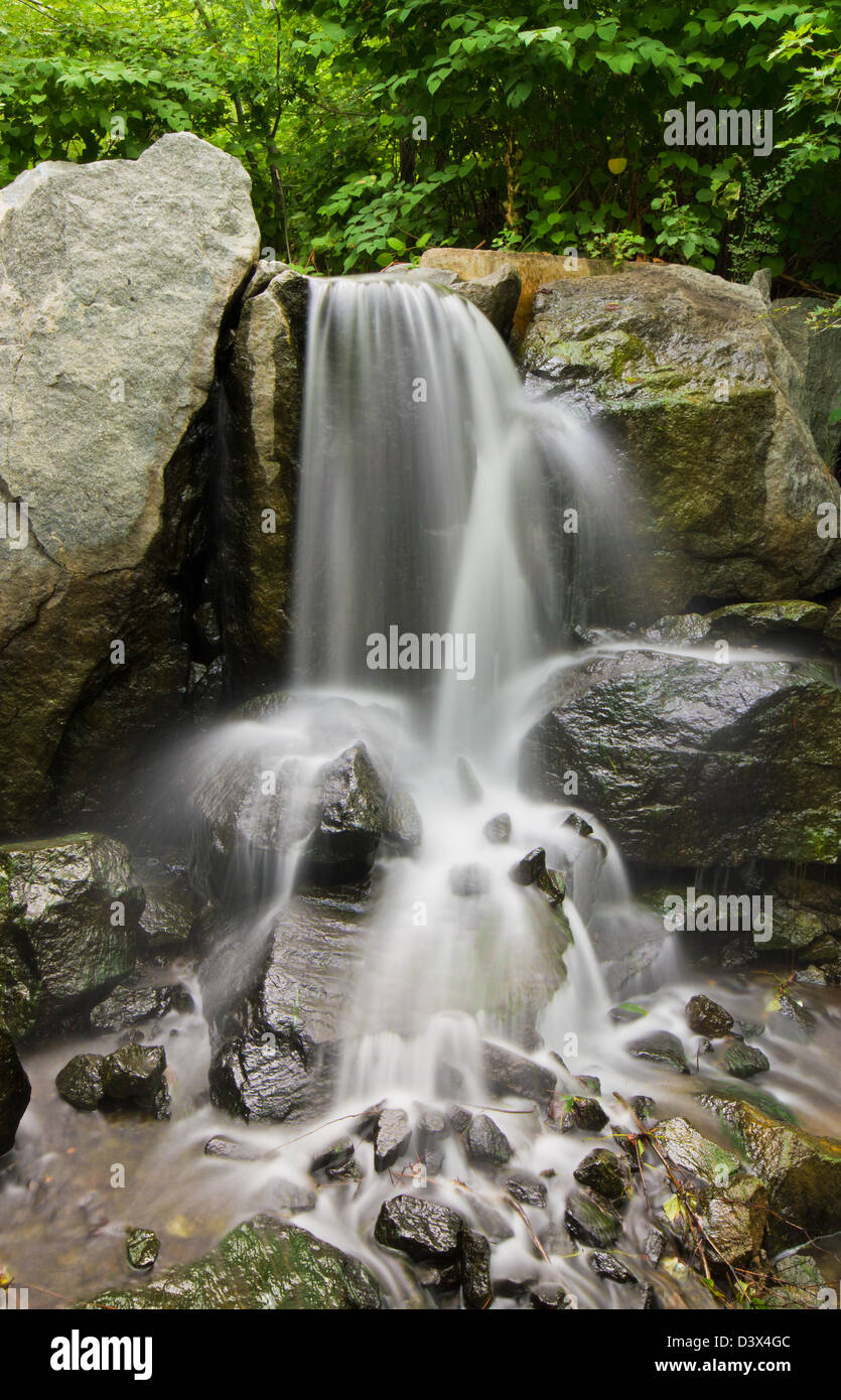 Beautiful, peaceful waterfall in forest -Canada Stock Photo - Alamy