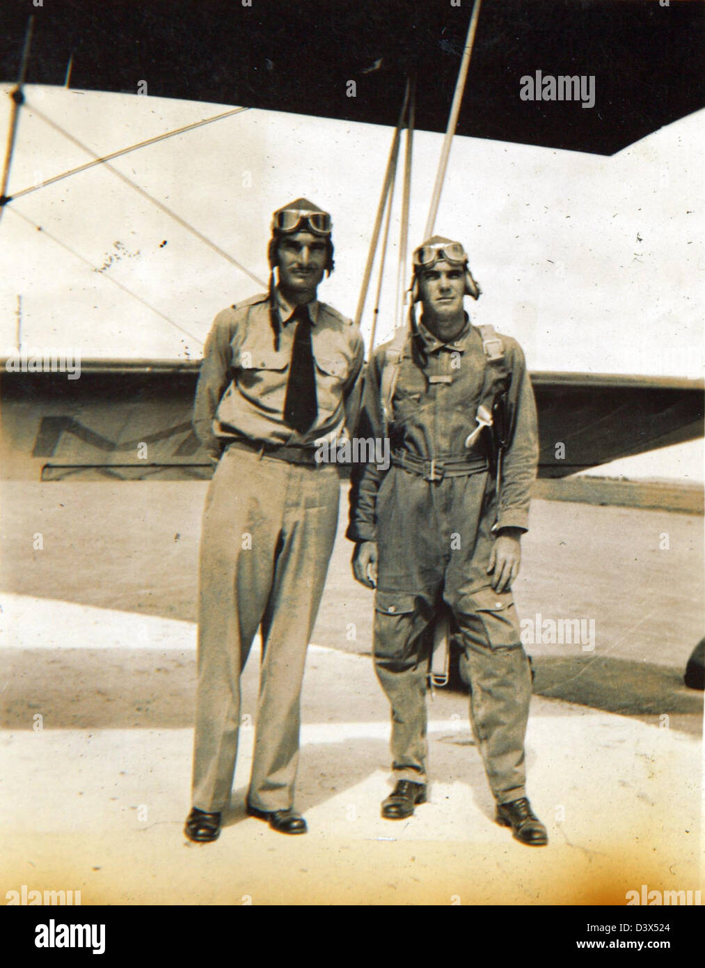 Elwyn hi-res stock photography and images - Alamy