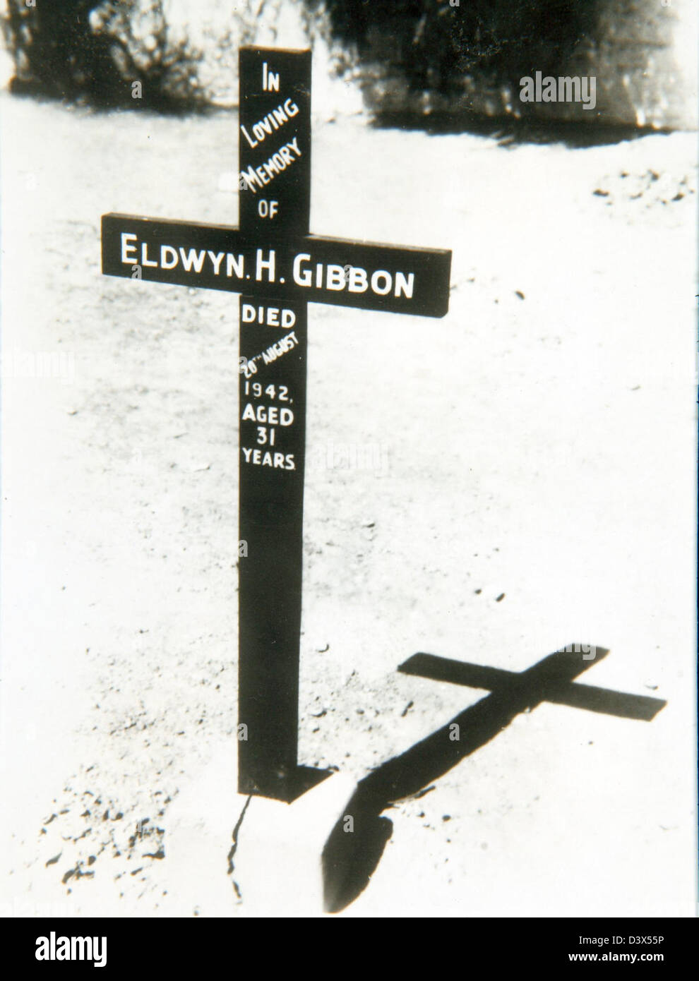 Elwynhgibbon hi-res stock photography and images - Alamy