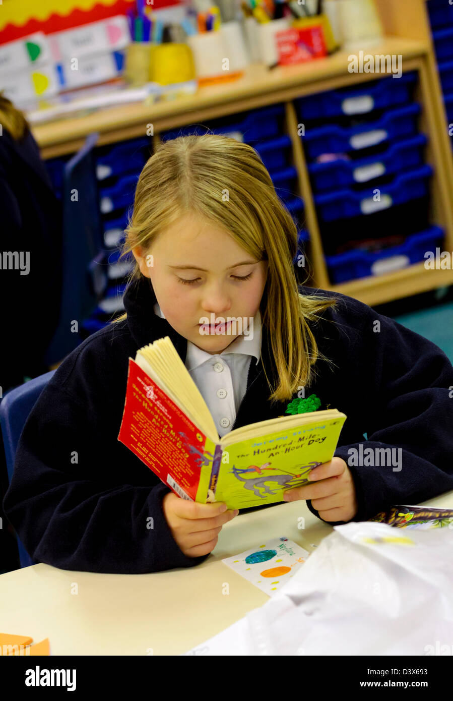 School child quietly reading a paperback book in a junior school ...