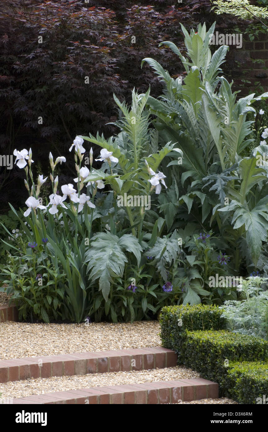 Plant a hedge steps hi-res stock photography and images - Alamy