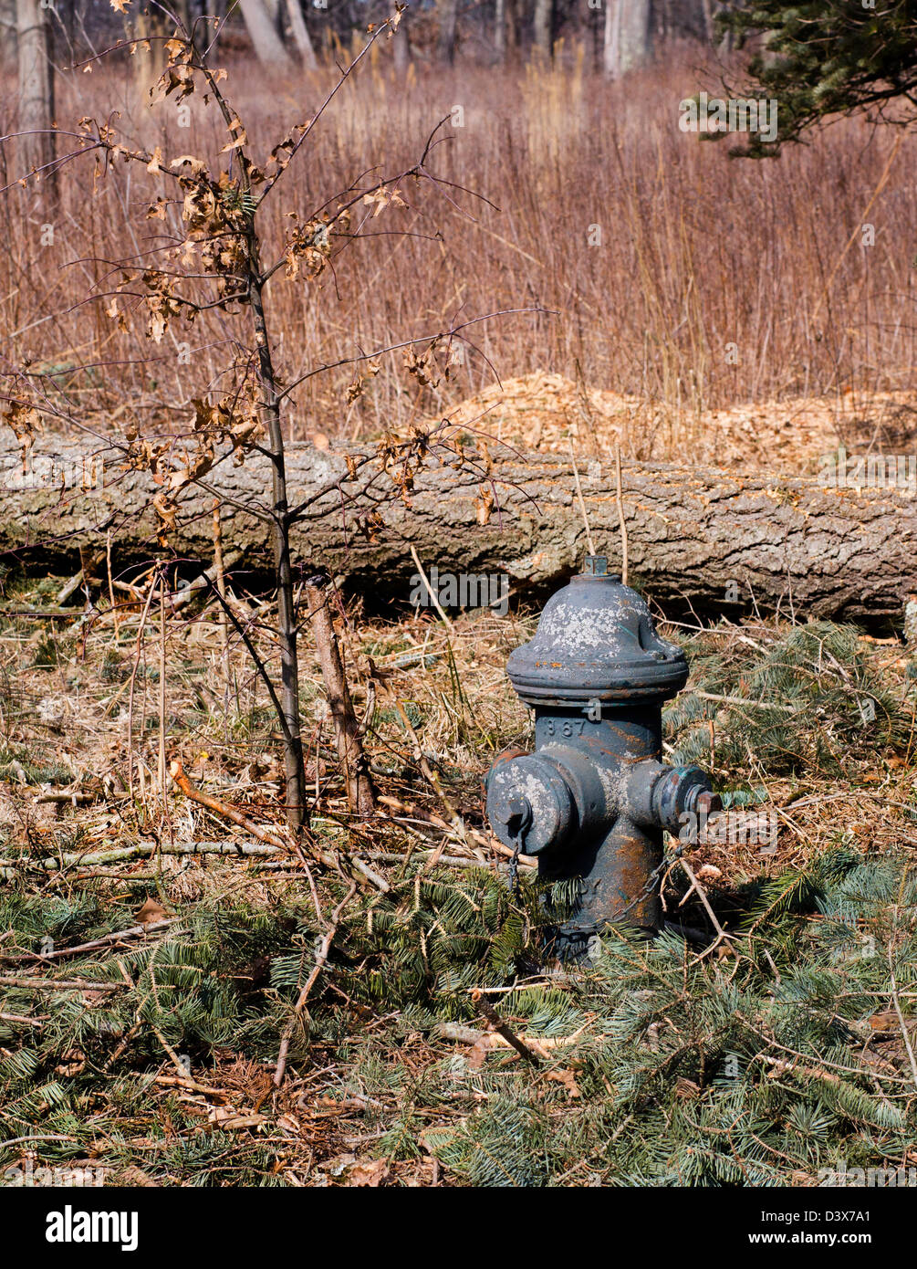 Fire Hydrant in a rural setting Stock Photo - Alamy