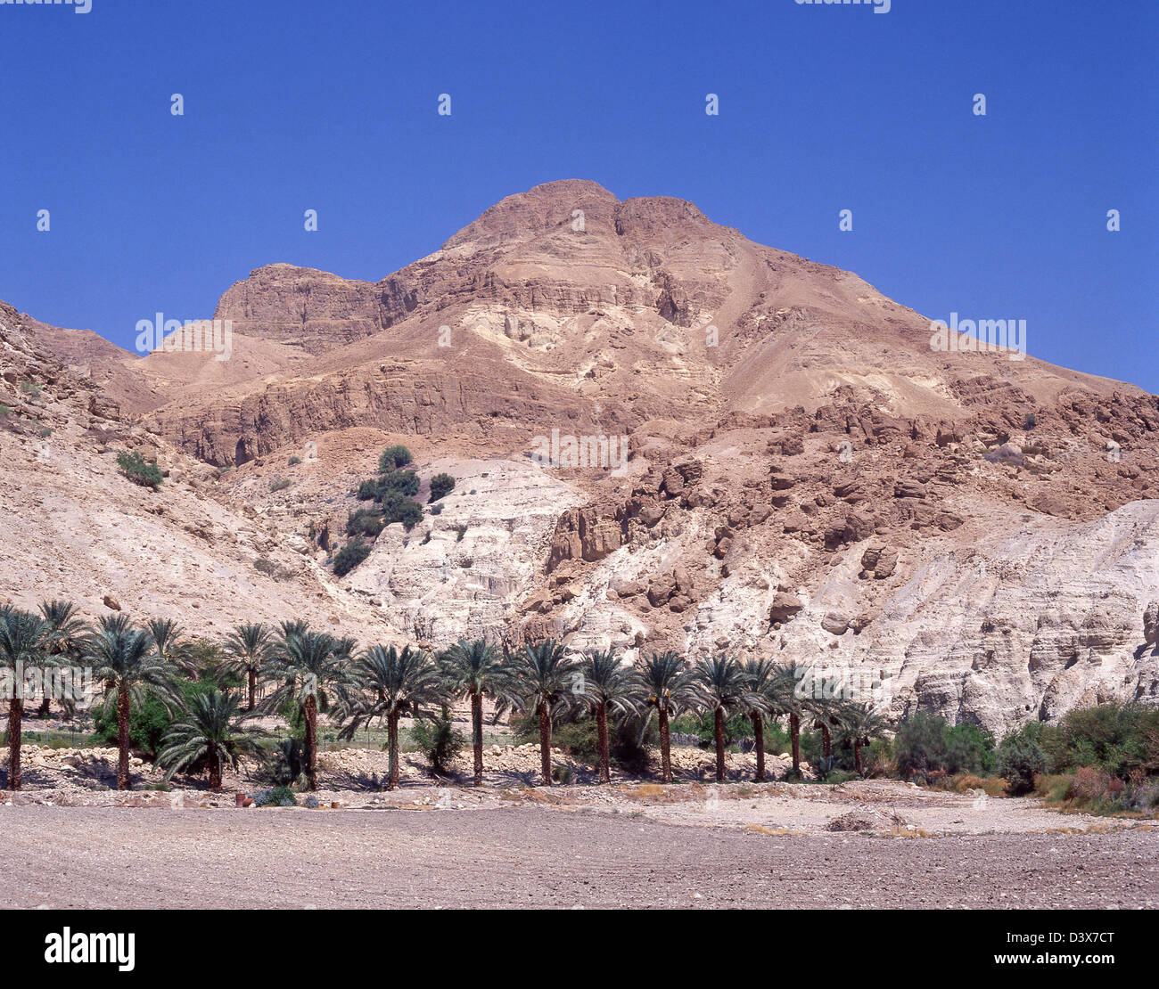 Ein Gedi Spring, Ein Gedi, near Masada, Southern District, Israel Stock ...