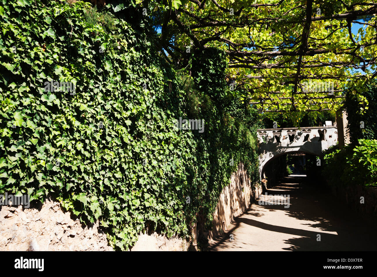 Walkway covered with plants, Amalfi, Province Of Salerno, Campania ...