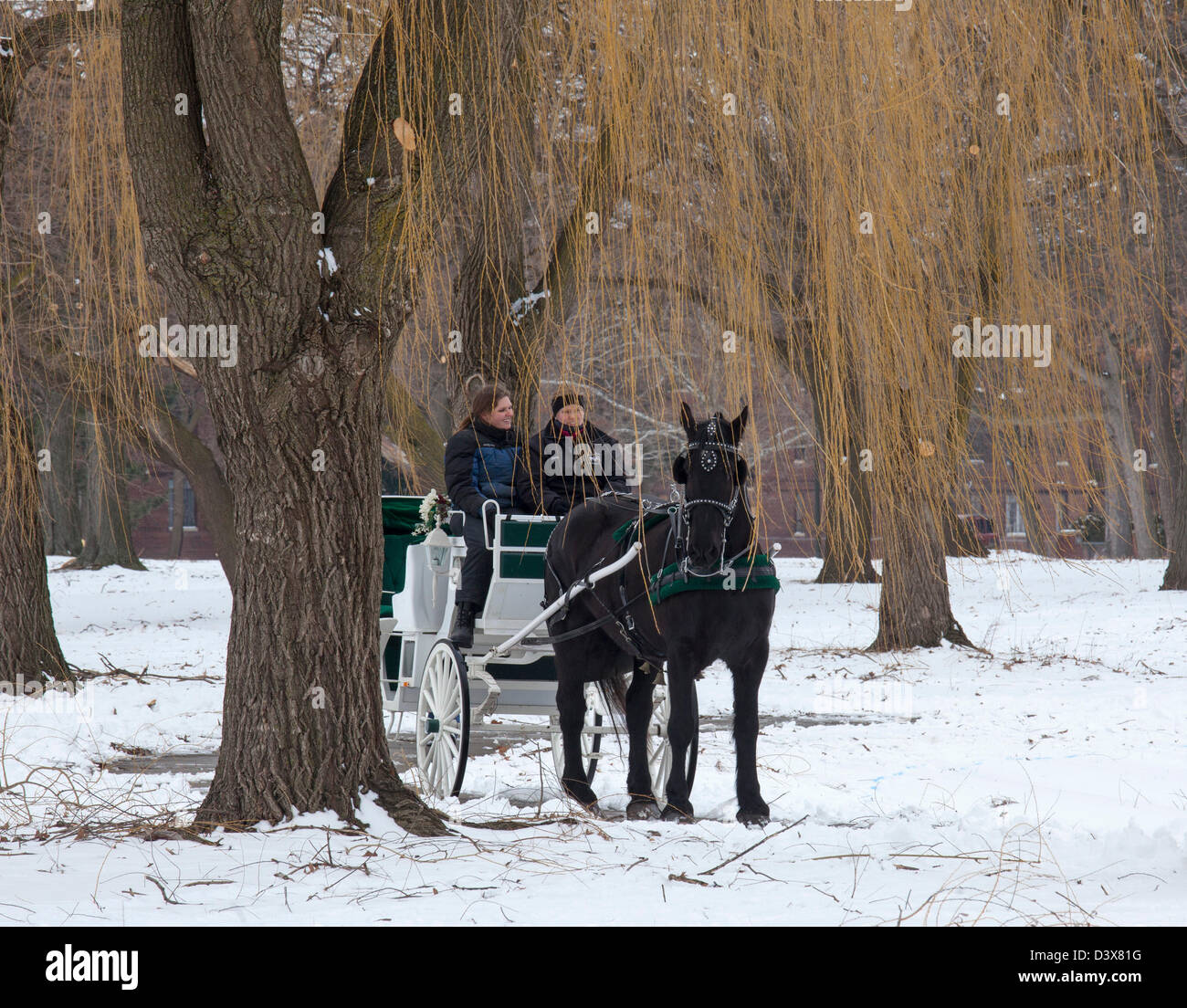 Detroit, Michigan - Horse and carriage rides were offered during Winter ...