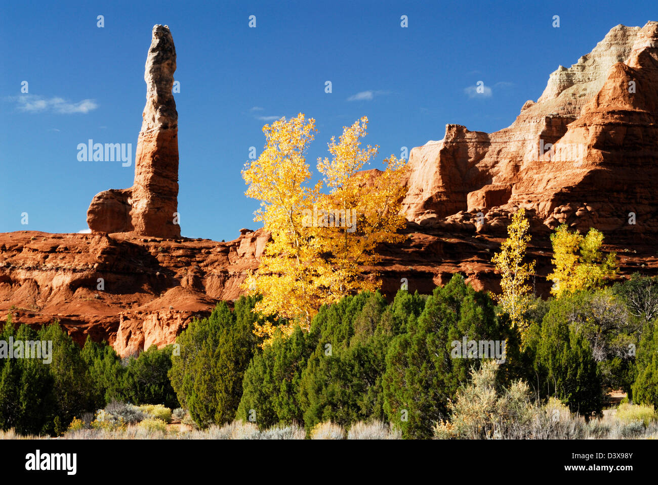 Unique rock spire perched on sandstone cliff and Aspen tree in fall ...