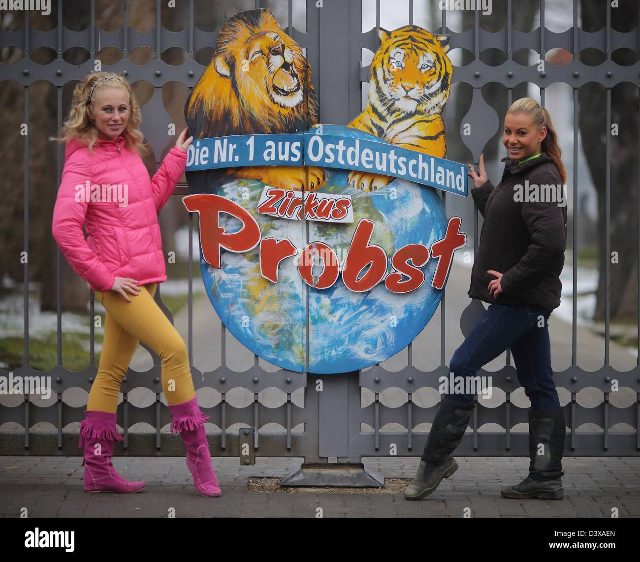 Alexandra wolf hi-res stock photography and images - Alamy