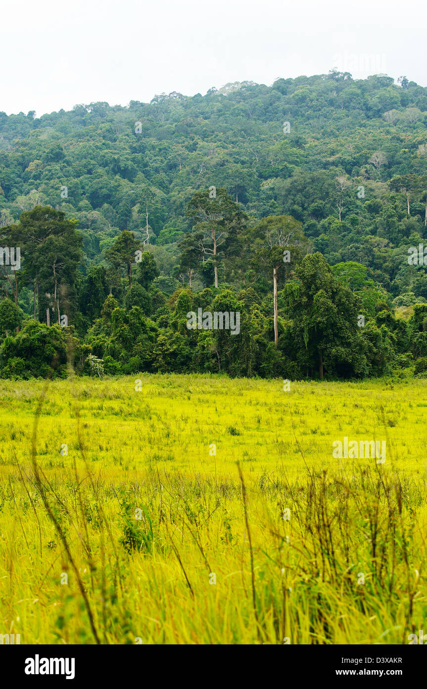 Khorat plateau thailand hi-res stock photography and images - Alamy