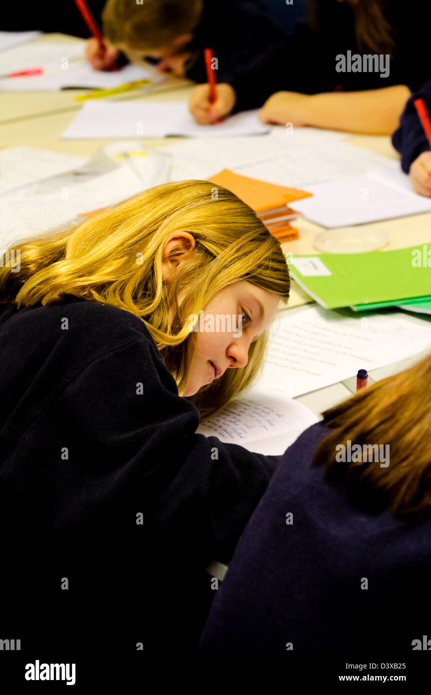 Primary school children writing in exercise books during a lesson Stock ...