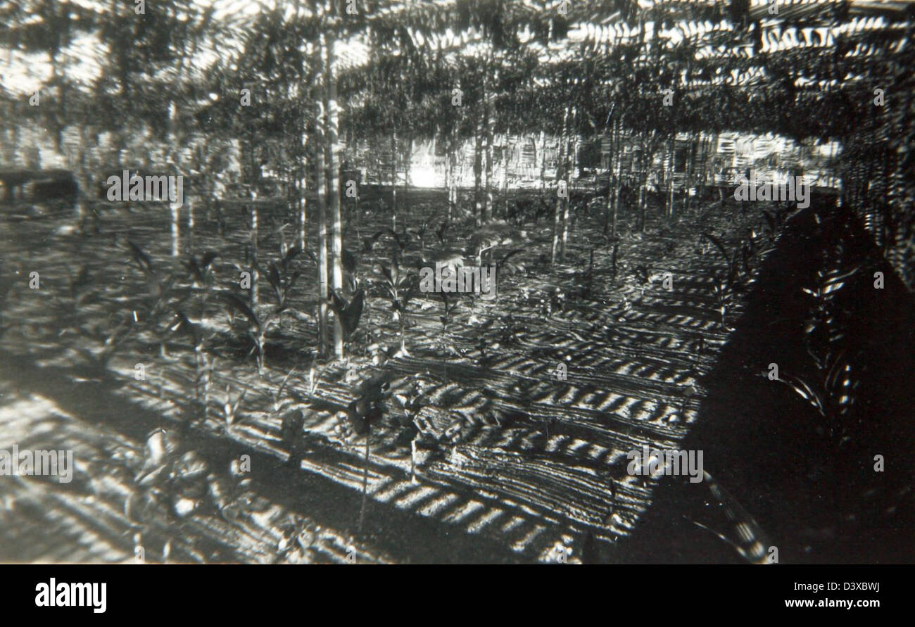 A special photo from the Tom Tommy Howard collection, likely showcasing ...