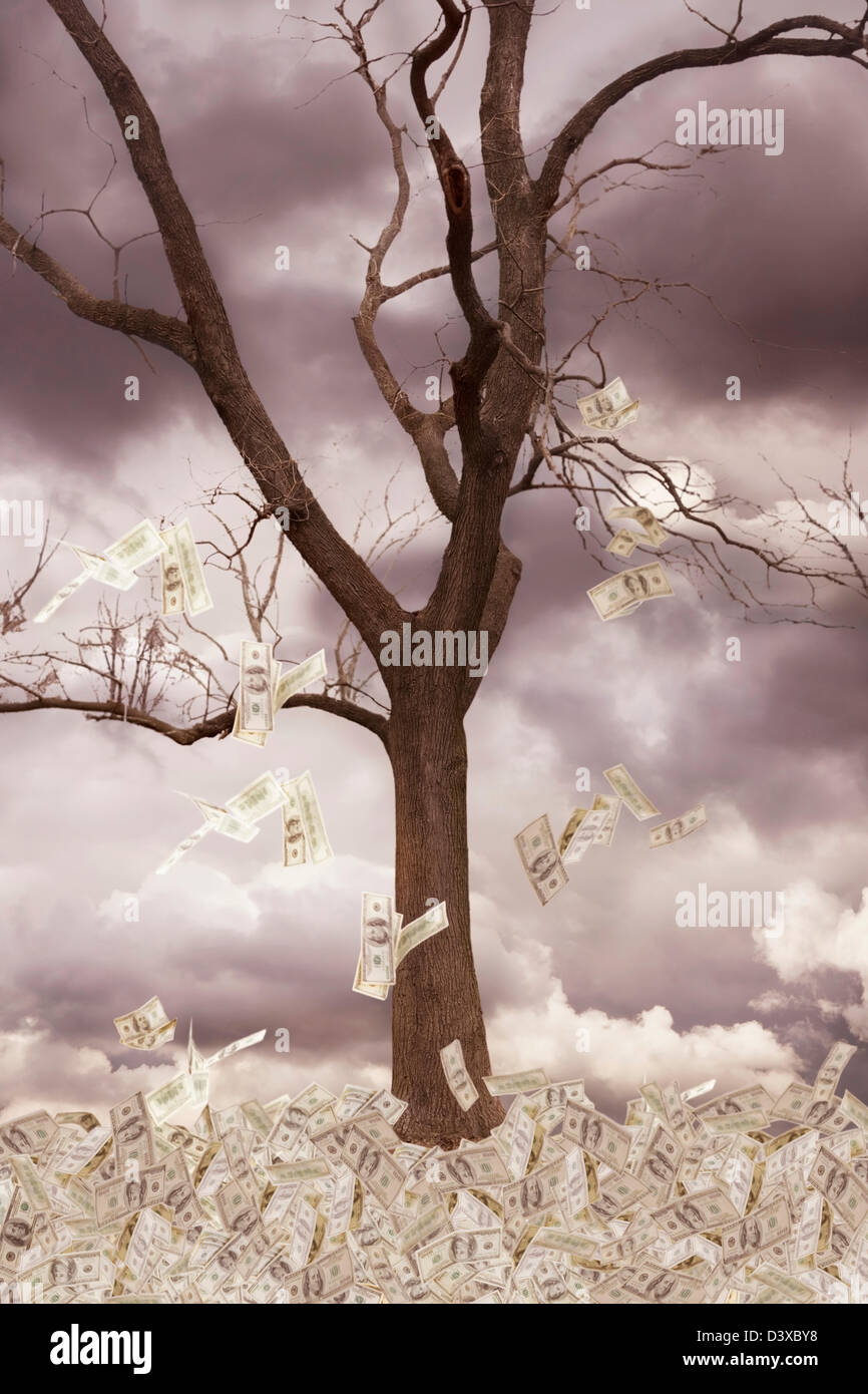 Illustration of dollar bills falling from tree in storm Stock Photo - Alamy