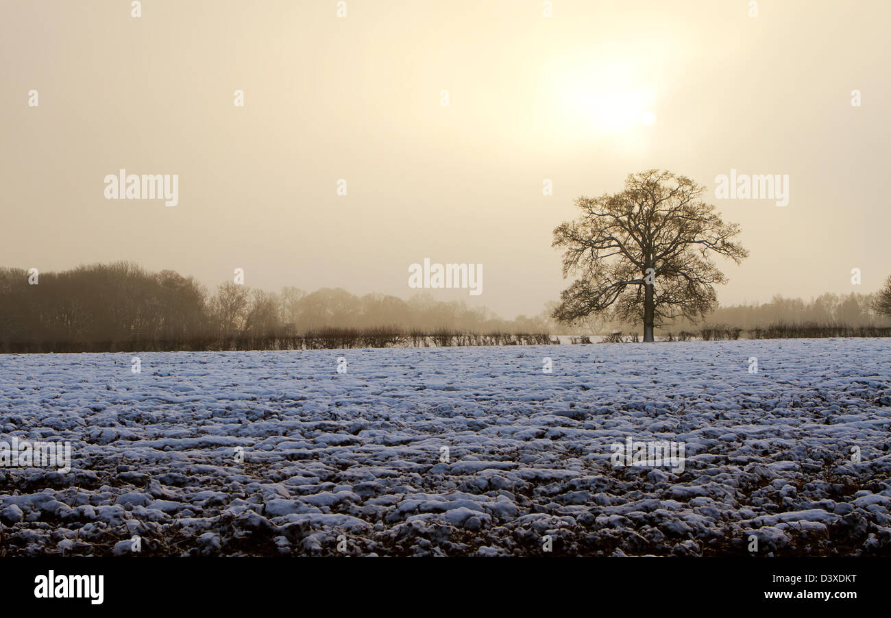 Snowy english countryside bright winter hi-res stock photography and ...