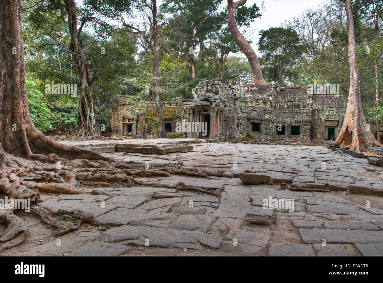 Angkor Wat ruins Stock Photo - Alamy