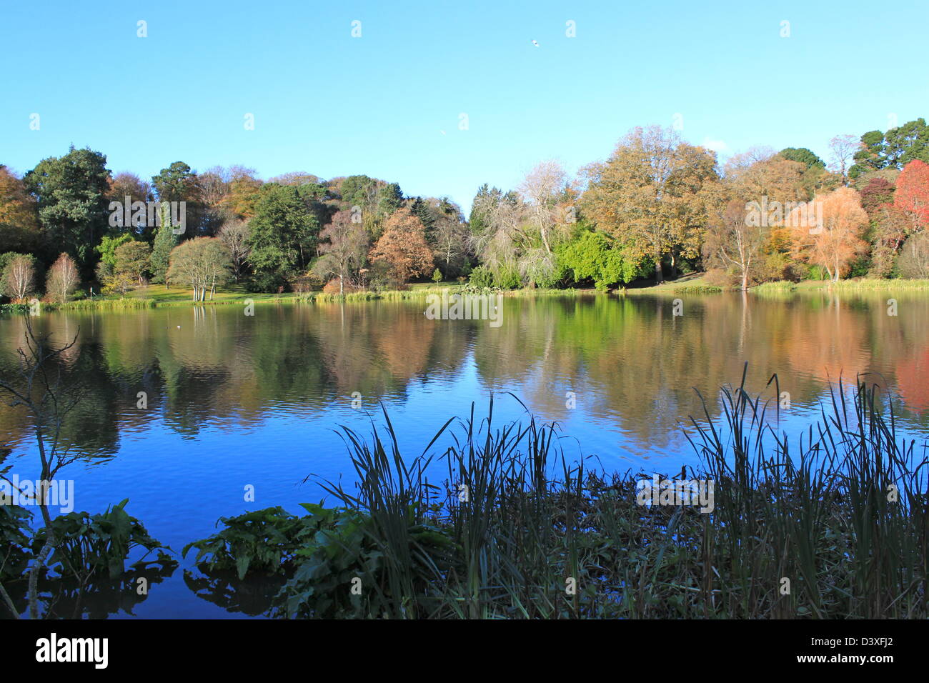 Lake scene. Mount Stewart House, Newtownards, Co Down, Northern Ireland ...