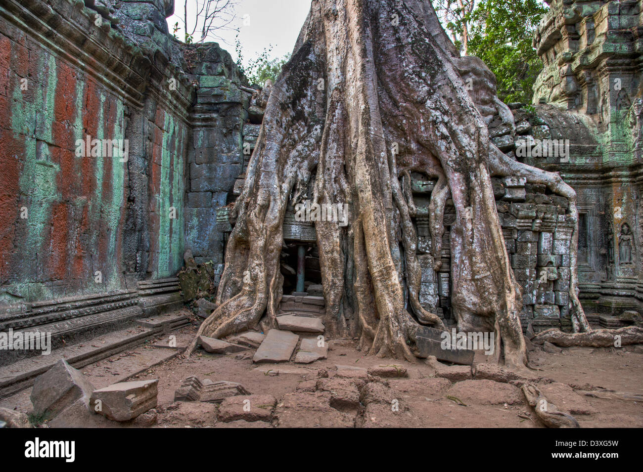 Angkor Wat ruins Stock Photo - Alamy