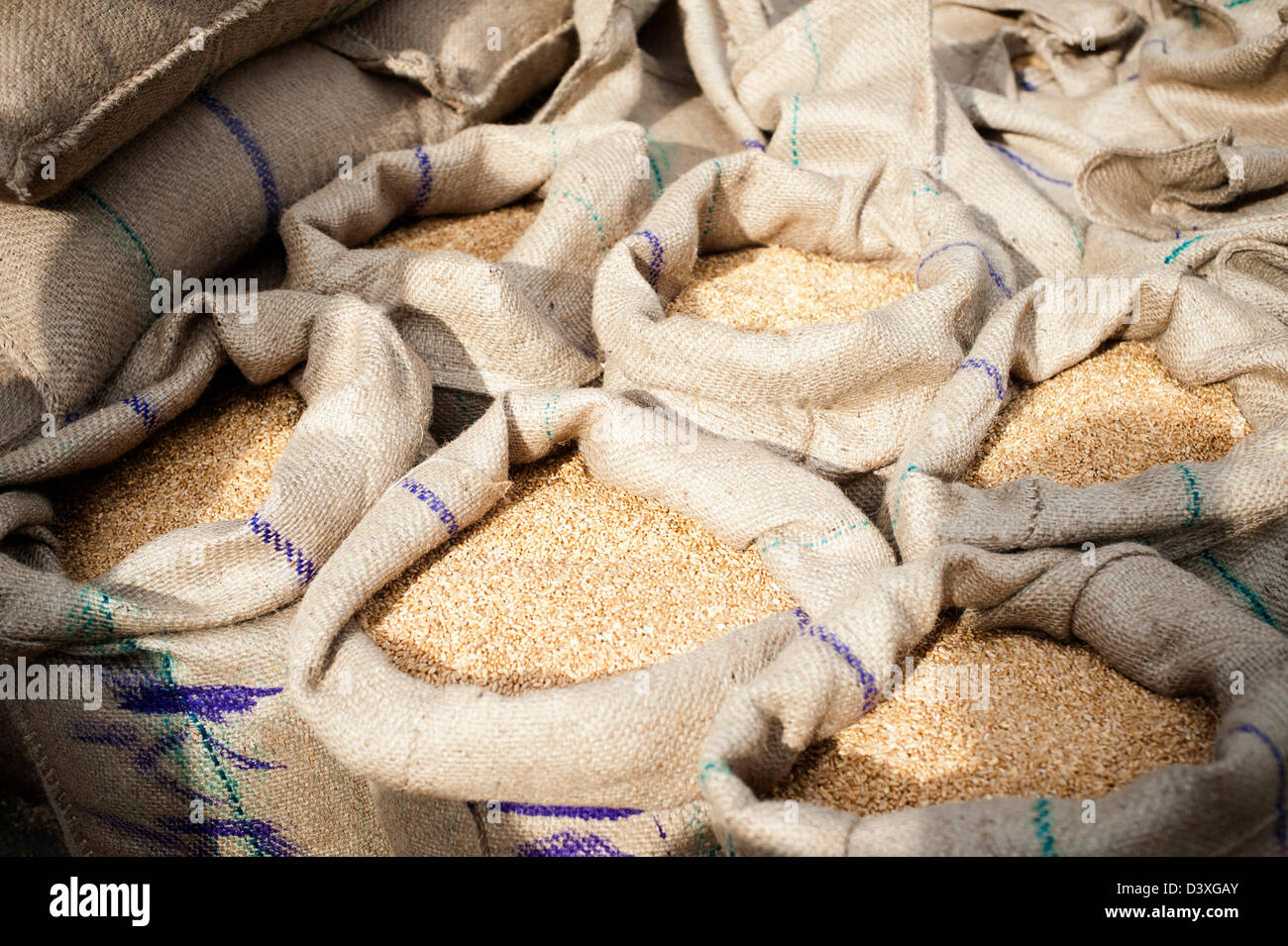 Sacks of wheat, Anaj Mandi, Sohna, Gurgaon, Haryana, India Stock Photo ...