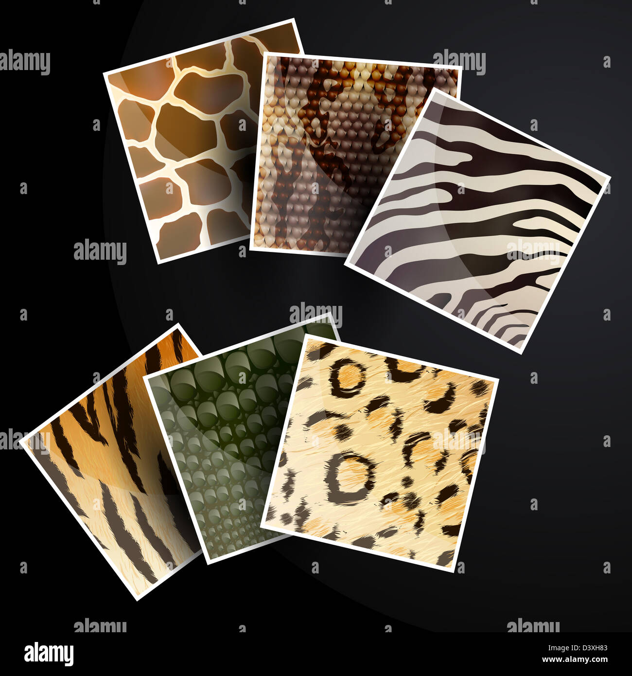 Jaguar skins hi-res stock photography and images - Alamy