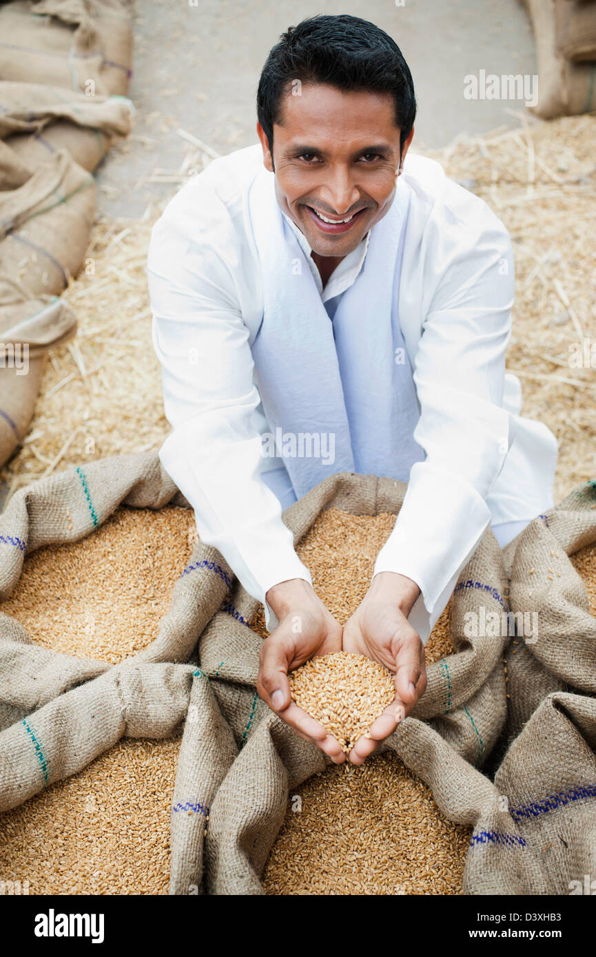 Man holding wheat grains from a sack in his cupped hands, Anaj Mandi ...
