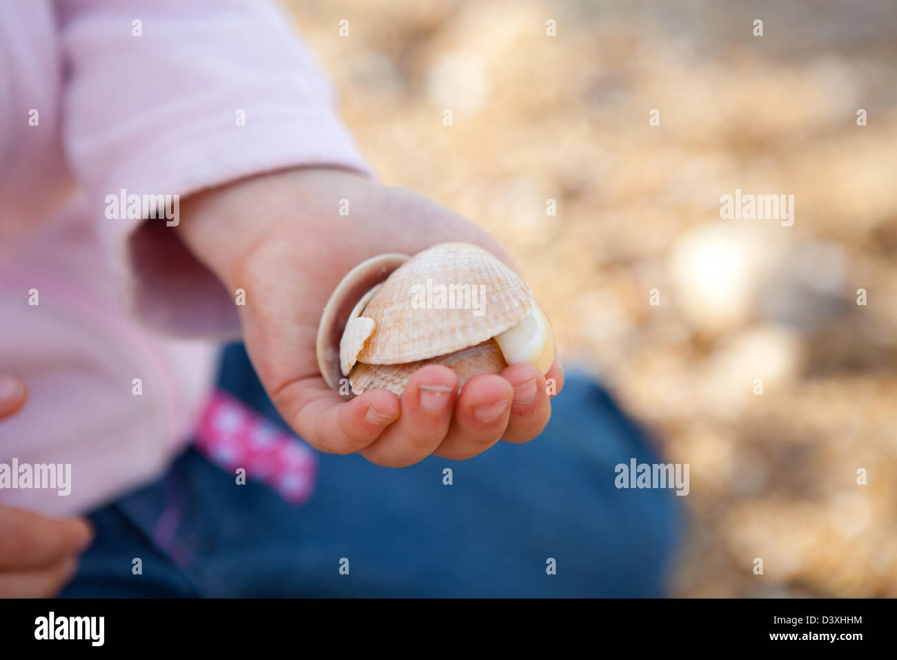 Girl holding seashells hi-res stock photography and images - Alamy