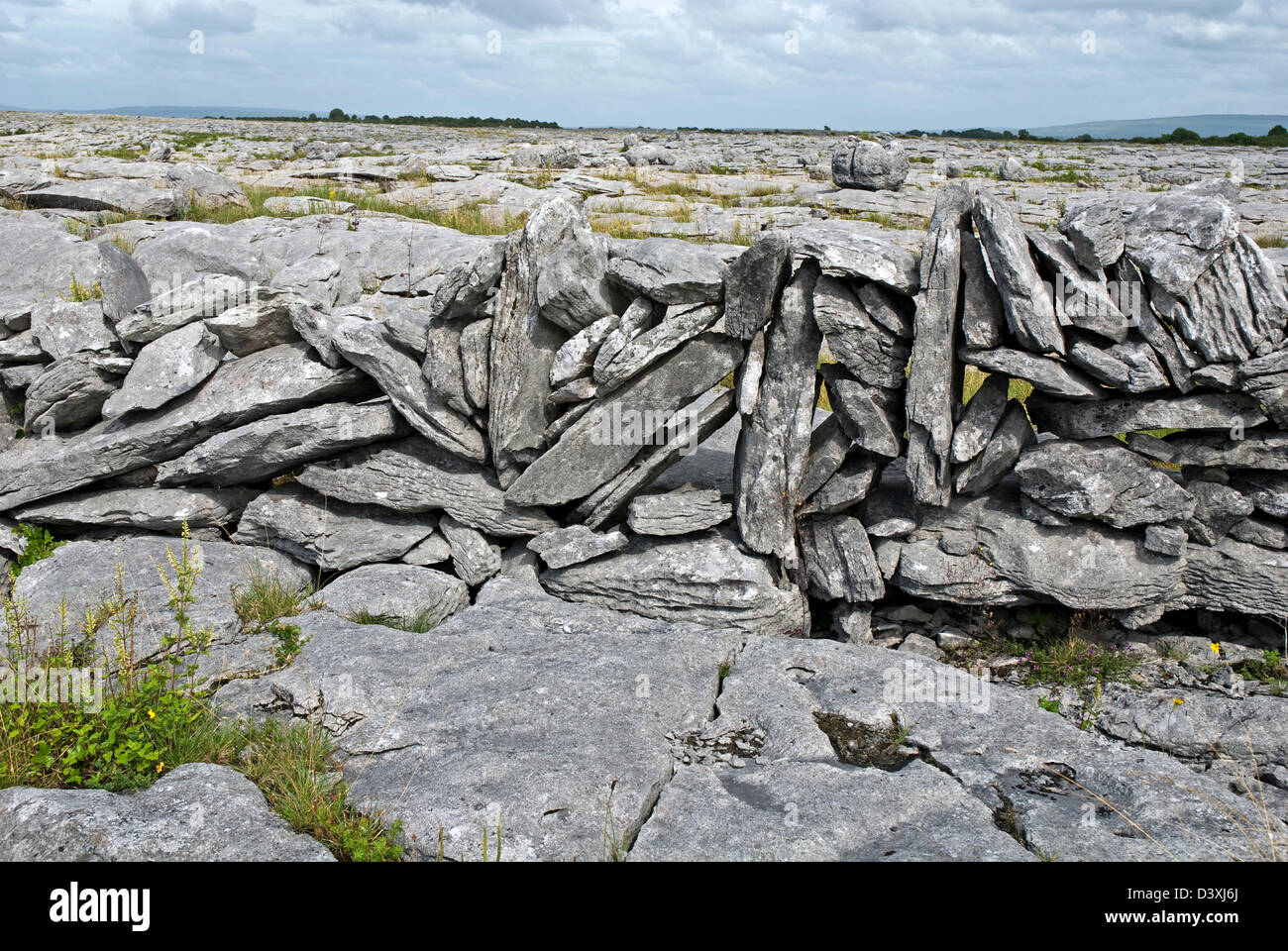 The Burren, Limestone Pavements, Dry Stone Walls, Co Clare Ireland ...