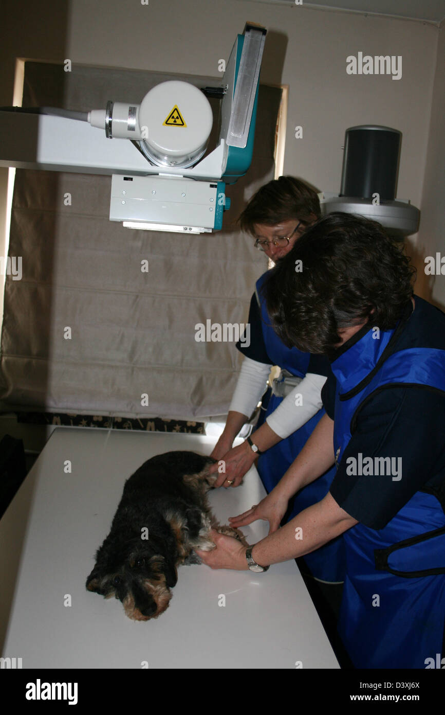 Radiographic positioning hi-res stock photography and images - Alamy