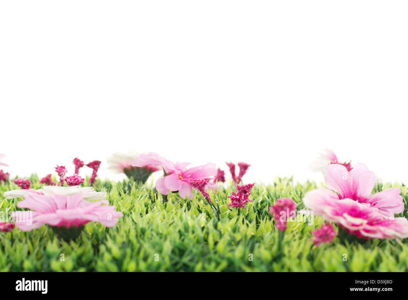 Beautiful flowers on grass Stock Photo - Alamy
